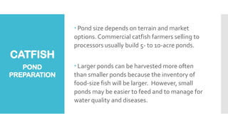 Catfish Production - Technology and Livelihood Education pdf | PDF