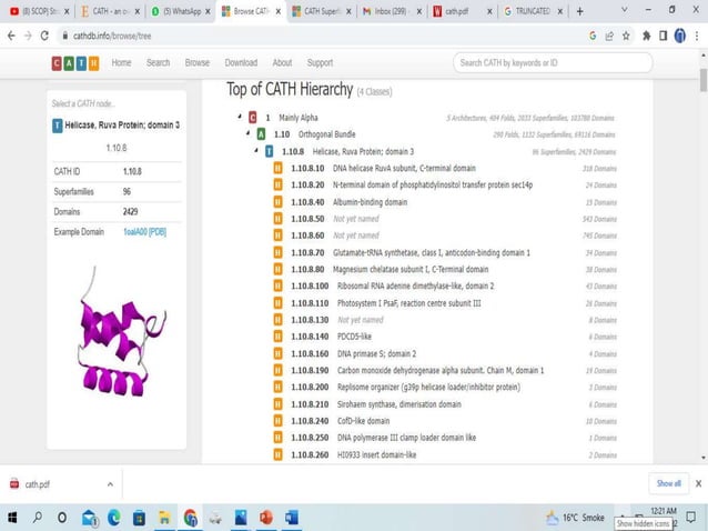 cath-171102055313.pptx