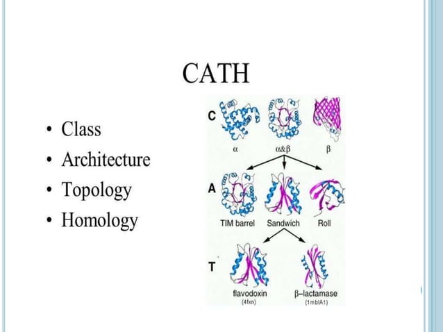 Cath | PPTX