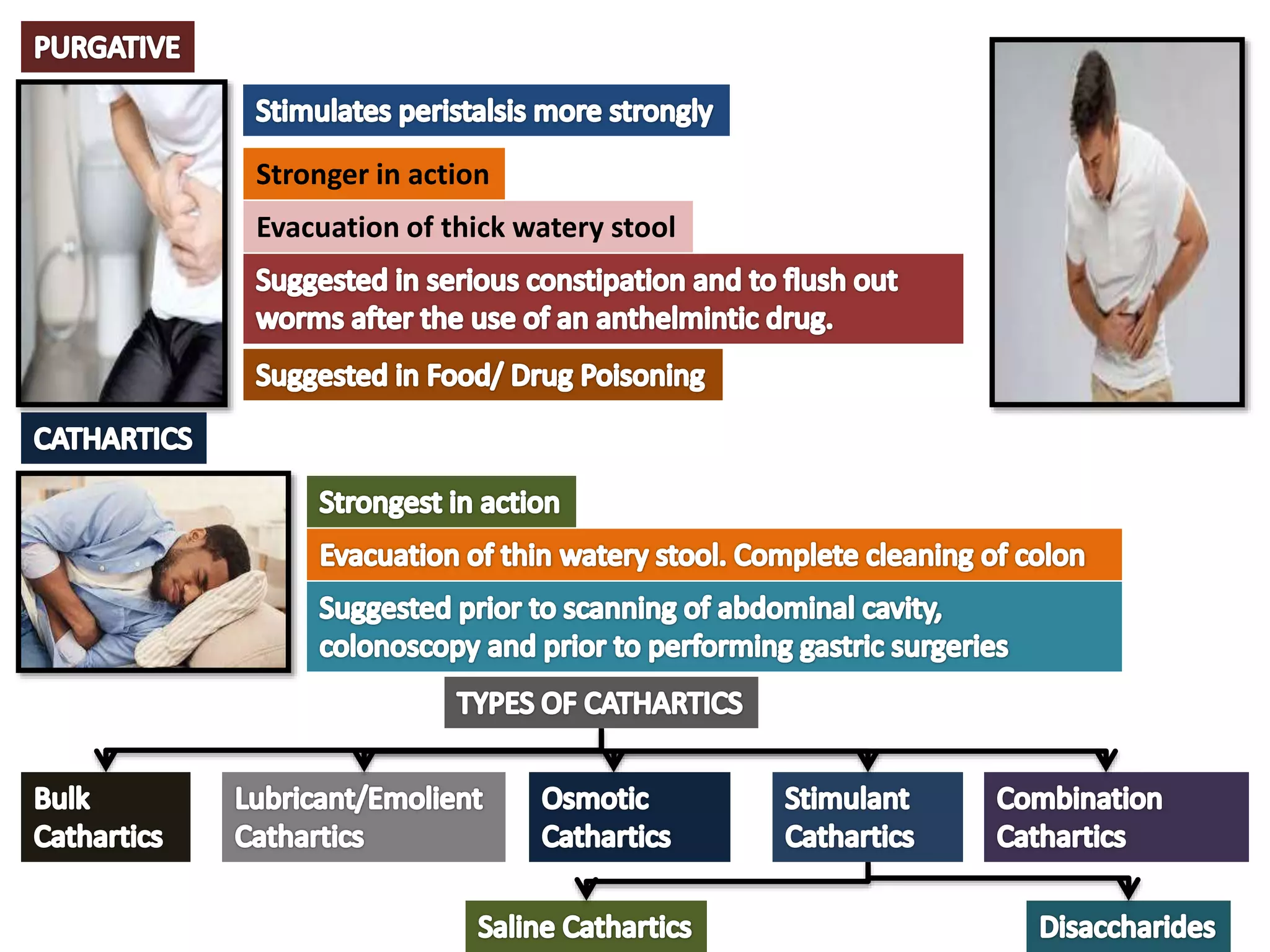 Cathartics (B.Pharm PCI syllabus) | PPTX