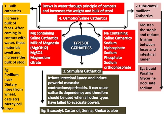 Cathartics (B.Pharm PCI syllabus) | PPTX | Digestive Disorders ...