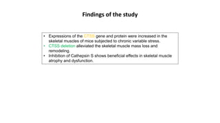 Cathepsin S activity controls chronic stress‑induced muscle atrophy and ...