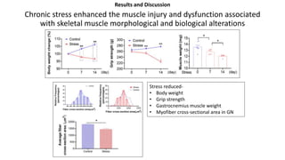Cathepsin S activity controls chronic stress‑induced muscle atrophy and ...