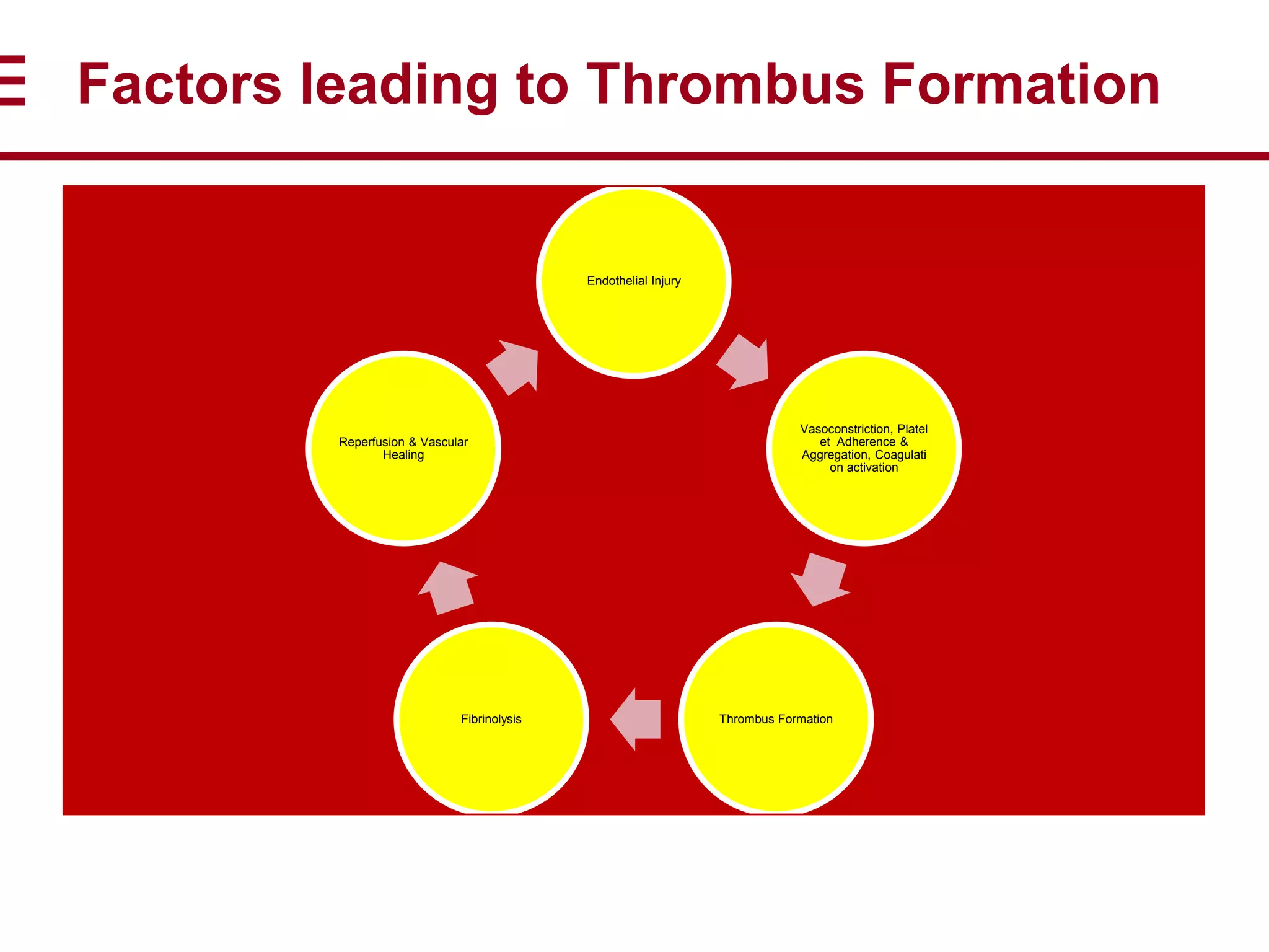 Catheter Related Thrombus Management (enhanced by VisualBee) | PPTX