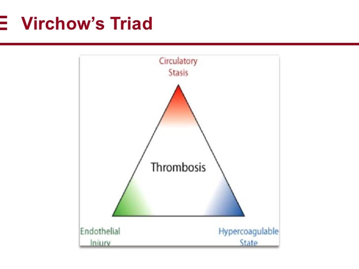 Catheter Related Thrombus Management (enhanced by VisualBee)