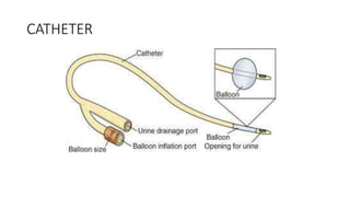 CATHETER-SPECIMEN-OF-URINE.pptx