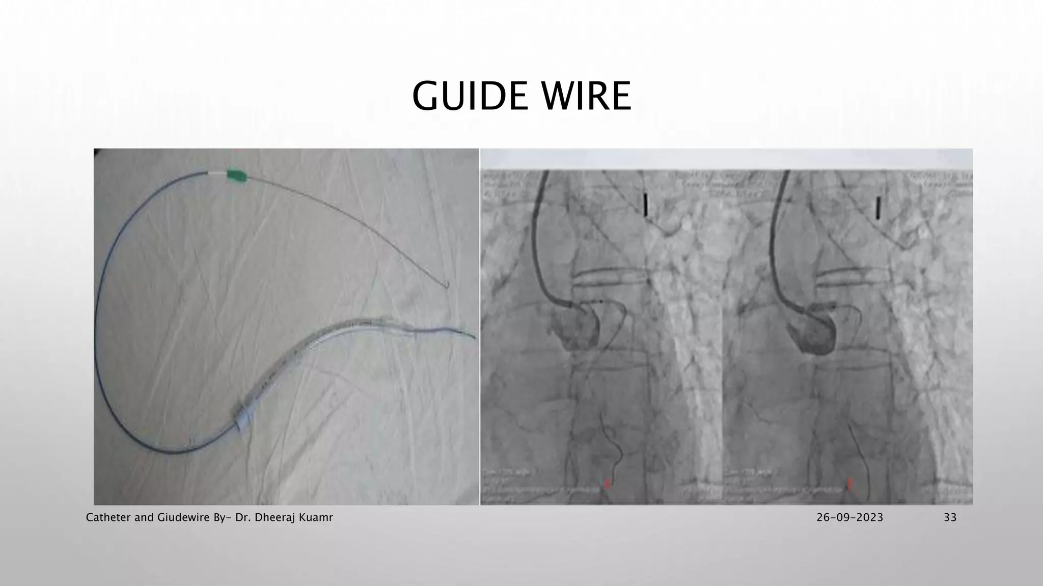 Catheter and Guidewire.pptx