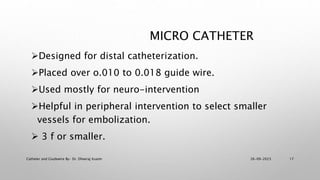 Catheter and Guidewire.pptx