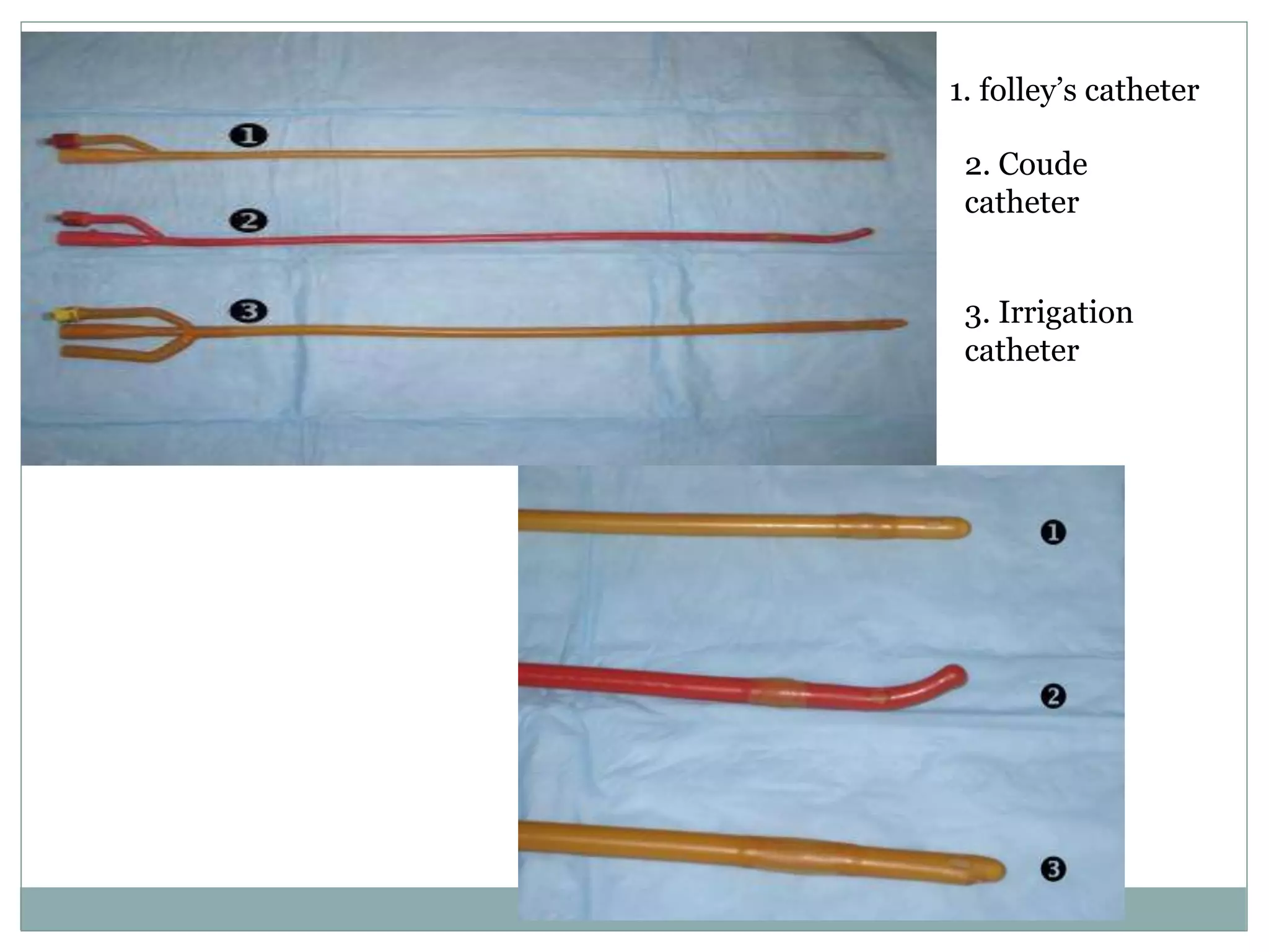 Catheterisation | PPTX