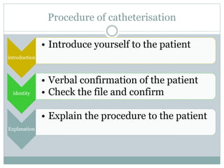 Catheterisation | PPTX | First Aid | Injuries