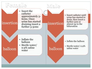 Catheterisation | PPTX