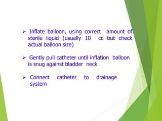 Urinary Catheterization | PPTX