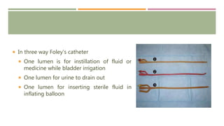 Catheterization | PPTX