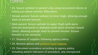 Catheterization | PPTX