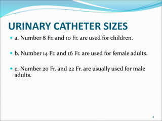 Catheterization.ppt