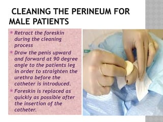 CATHETERIZATION INSERTION PRESENTATION AND DETAIL INFO | PPT