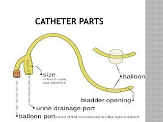 CATHETERIZATION INSERTION PRESENTATION AND DETAIL INFO | PPT