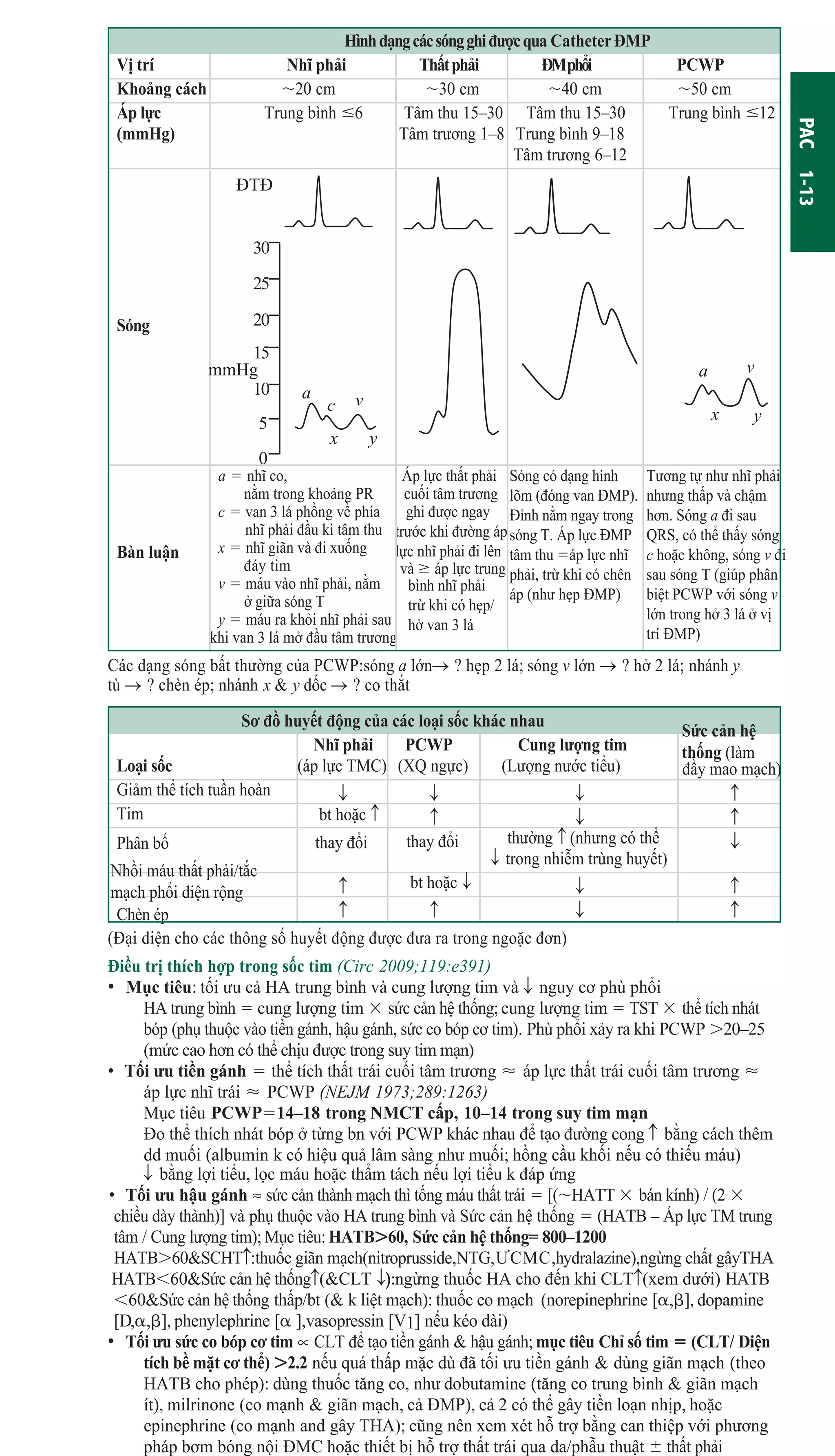 catheter động mạch phổi và điều trị.pdf