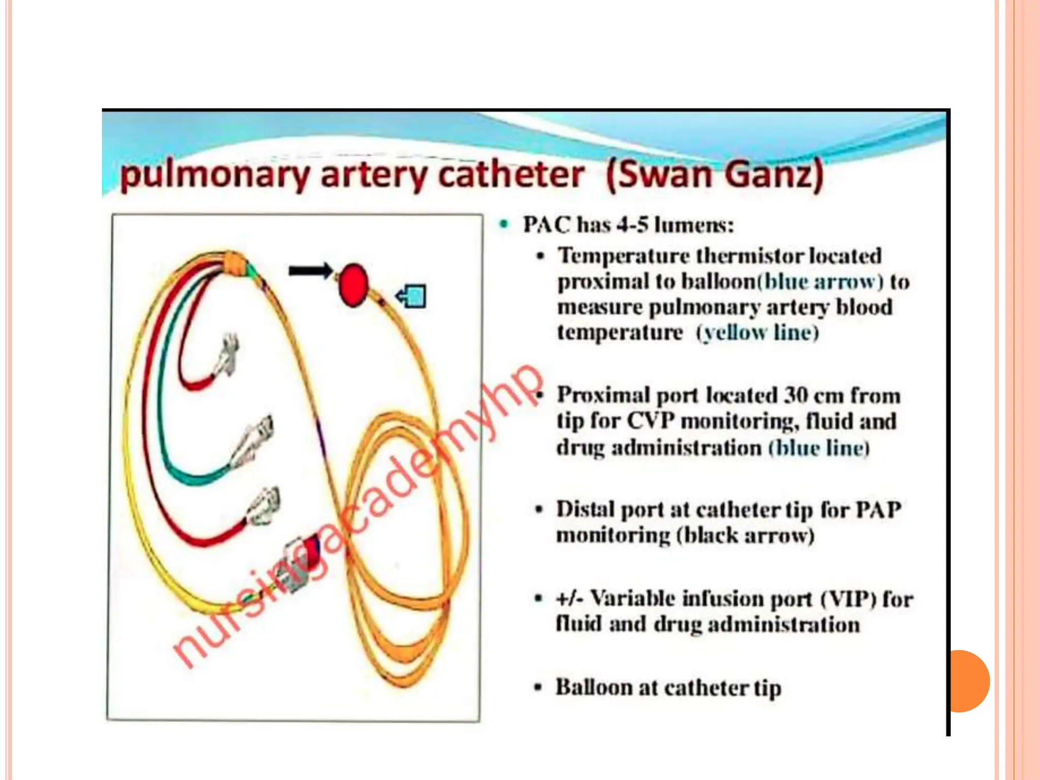 diagnostic and guiding catheters Presentation.pptx