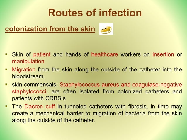Catheter related infections- DR Nadia Mohsen | PPTX | Infectious ...