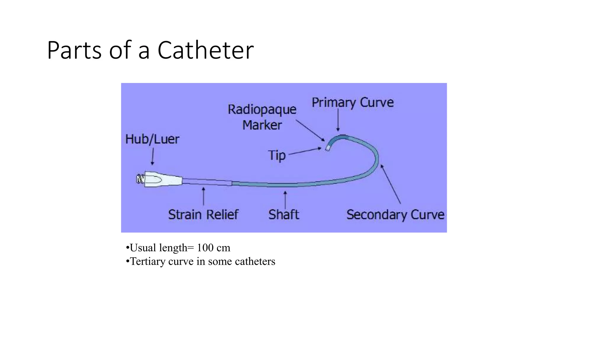catheters.pptx