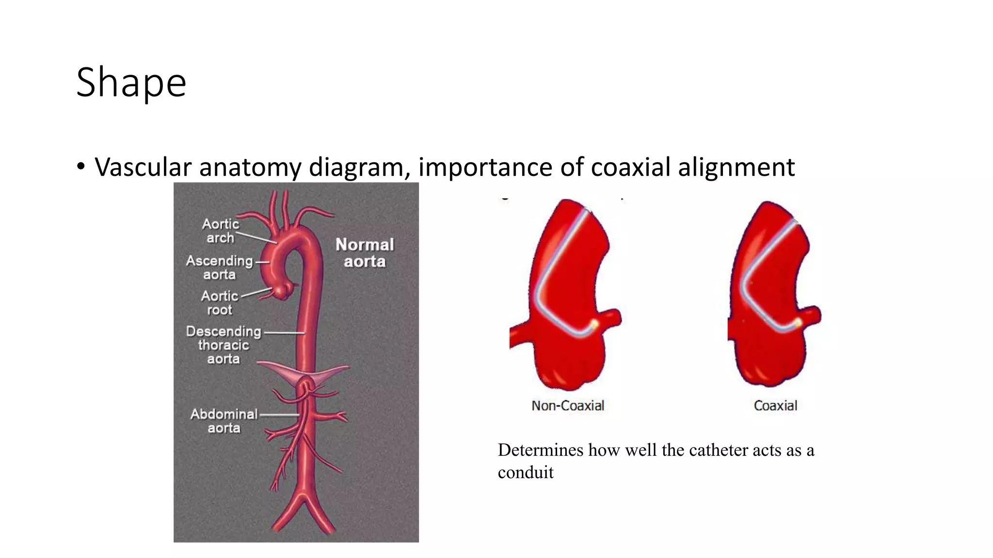 catheters.pptx