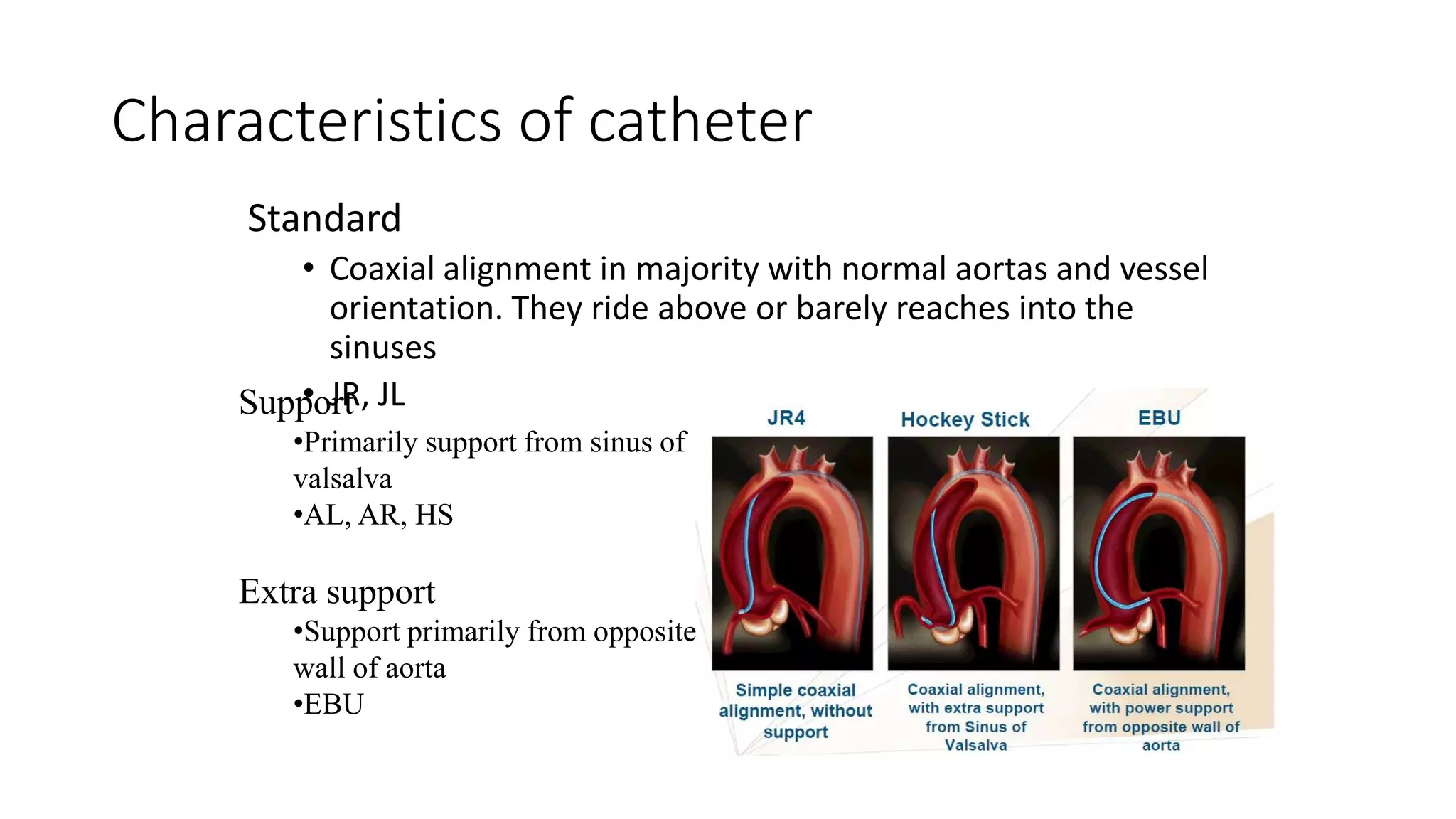 catheters.pptx