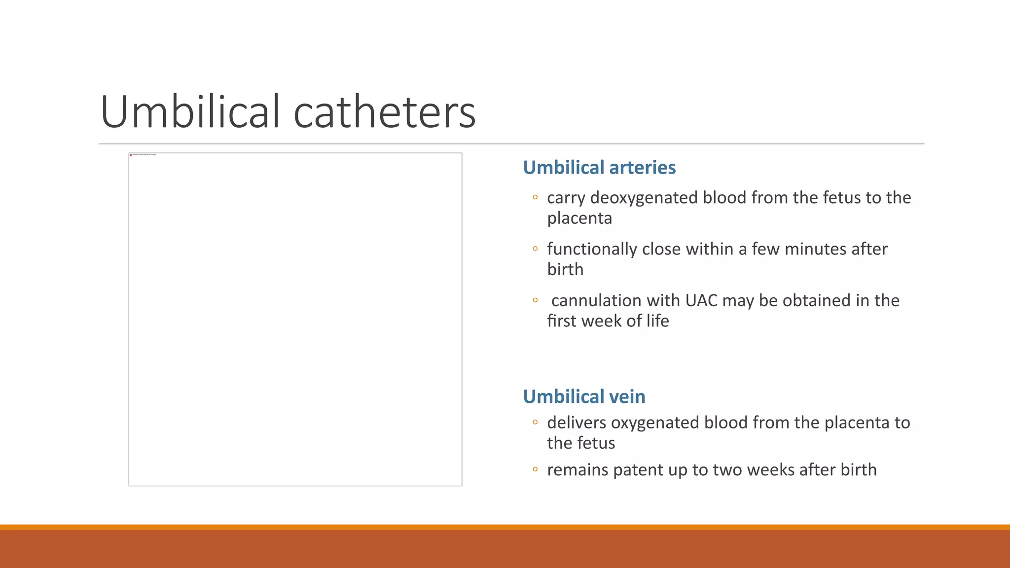 catheters.pptx