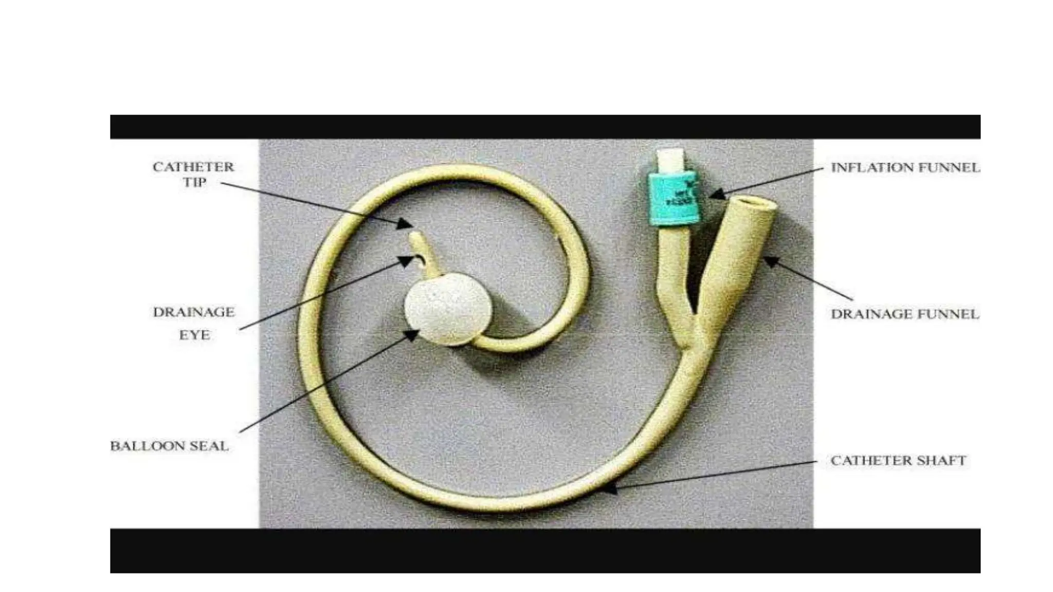 catheters and urethral catheterization.pptx