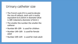 catheterzation.pptx