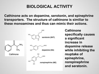 Cathinone (power-point to accompany report) | PPTX