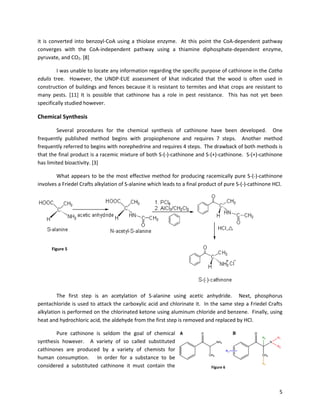 Cathinone history, synthesis, and human applications | DOCX