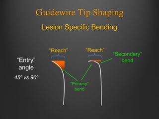 cathlab essentials.pdf