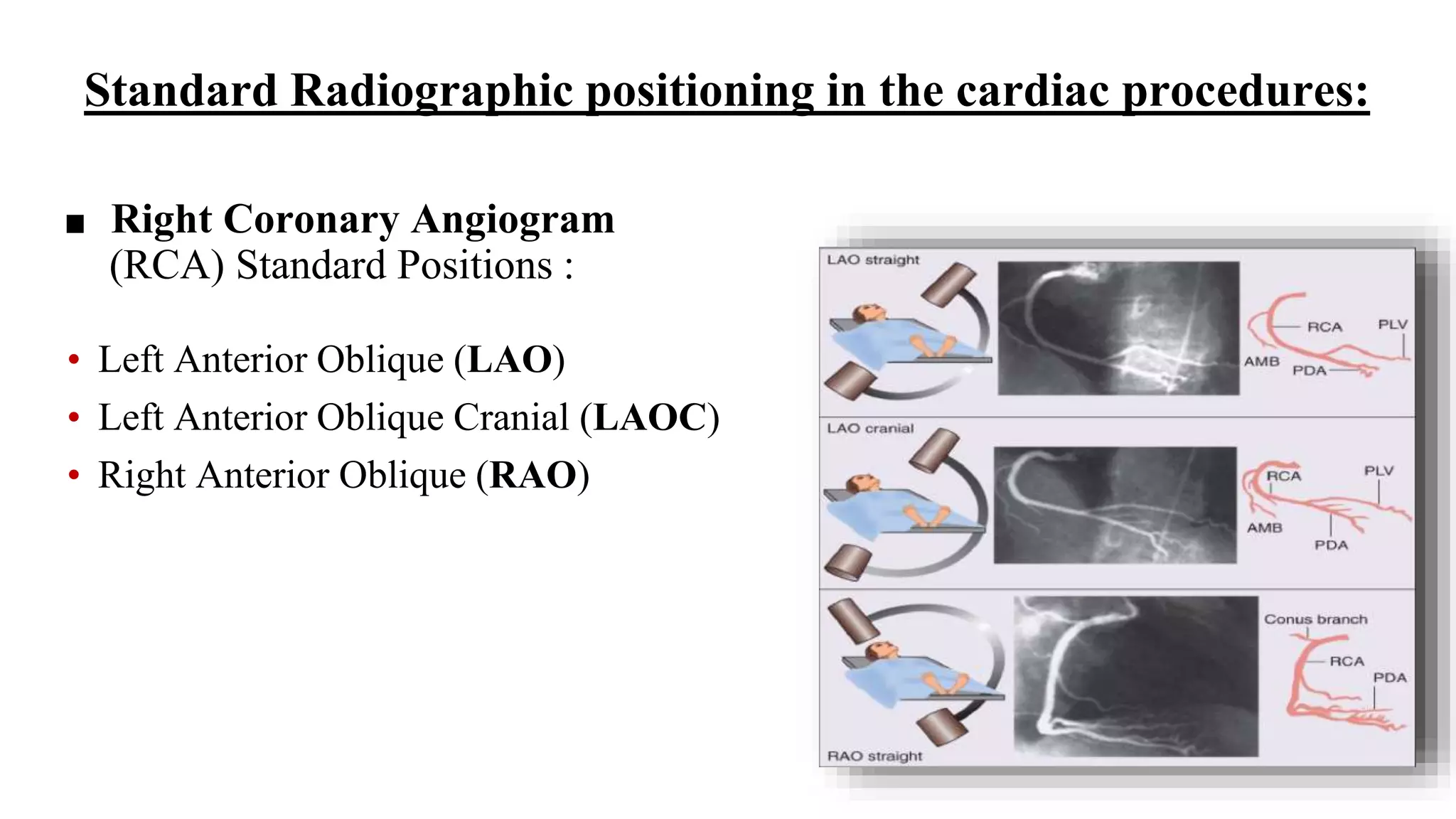 Cardiac Catheterization Laboratory | PPTX