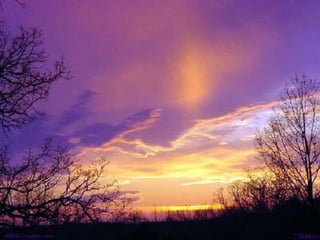 Catholic Social Teaching Arch 1 | PPT