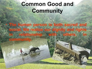 Catholic Social Teaching Arch 1 | PPT