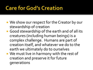 Catholic Social Teaching Care For Gods Creation