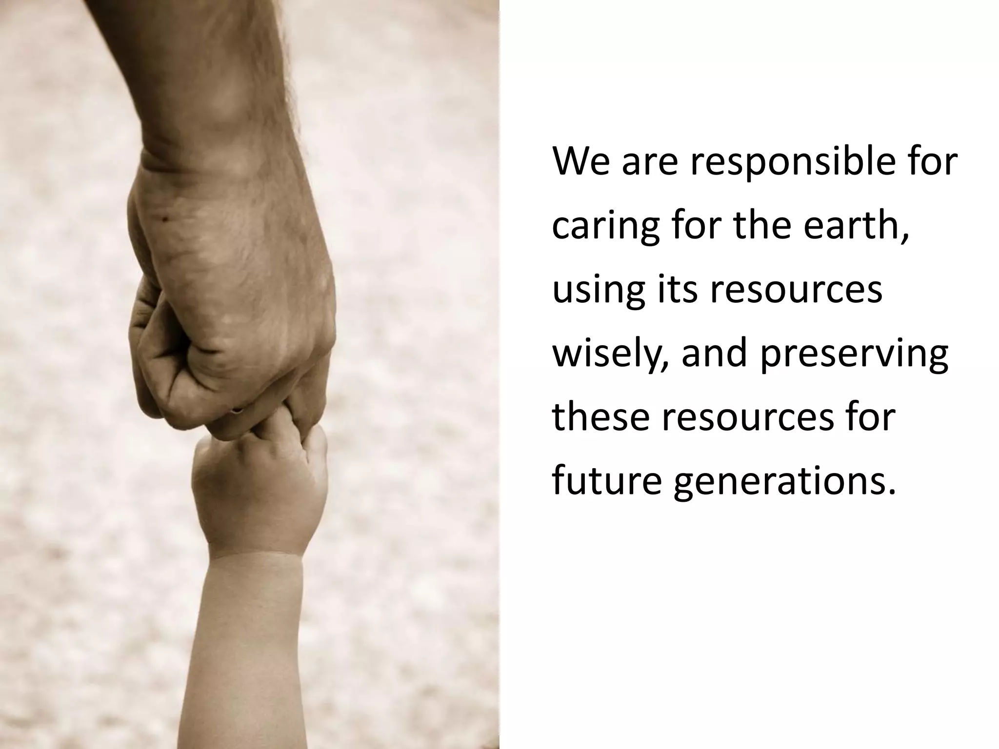 Catholic Social Teaching Good Stewardship Of Creation | PPTX