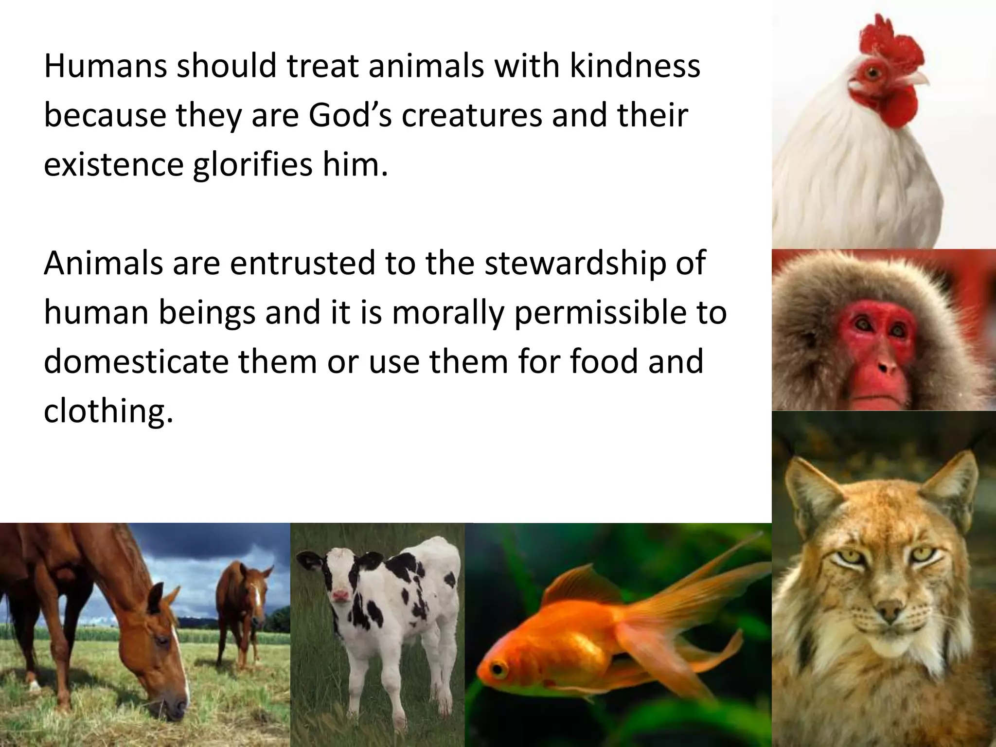 Catholic Social Teaching Good Stewardship Of Creation | PPTX