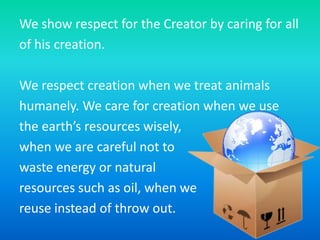 Care For Gods Creation Catholic Social Teaching