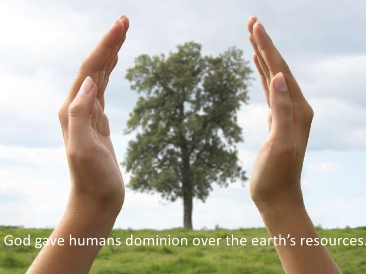 Catholic Social Teaching Good Stewardship Of Creation