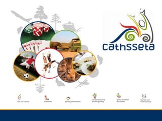 CATHSSETA presentation to WCHI HR Forum Skills Committee - June 2012 | PPT