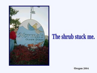 Cathy's 2004 Visit to Oregon | PPT