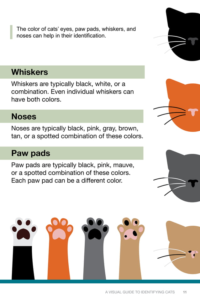 catidentification.pdf | Cats | Pets