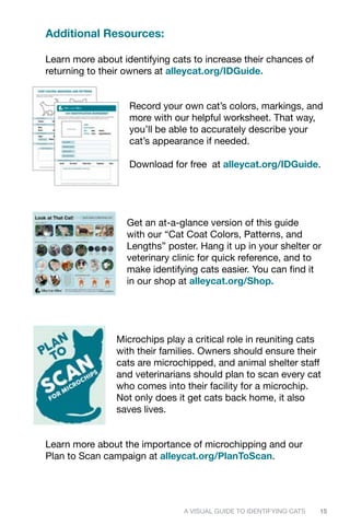 catidentification.pdf