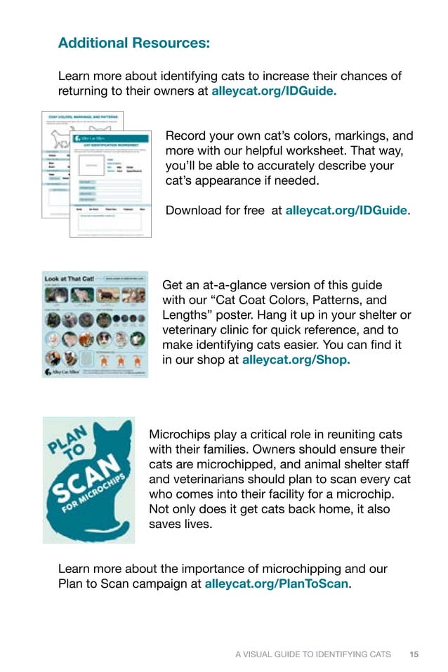 catidentification.pdf | Cats | Pets