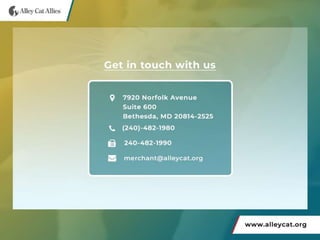 Cat Identification Guide | PPTX | Cats | Pets