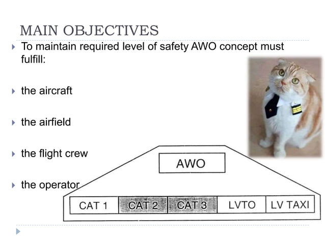 Cat i;ii;iii operations jakub muransky | PPTX | Air Travel | Travel Type