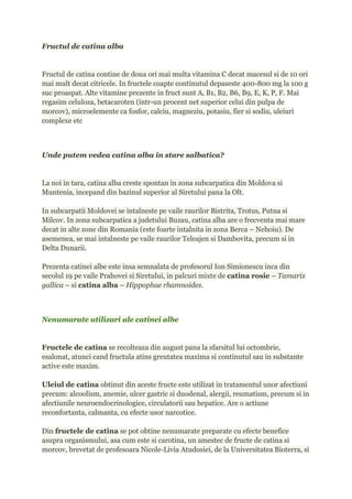 Catina | DOCX
