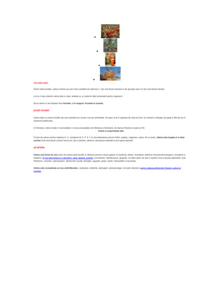 Catina | PDF